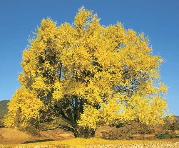 cpbc News : [영상복음] 24- 하느님의 길을 걸었더라면